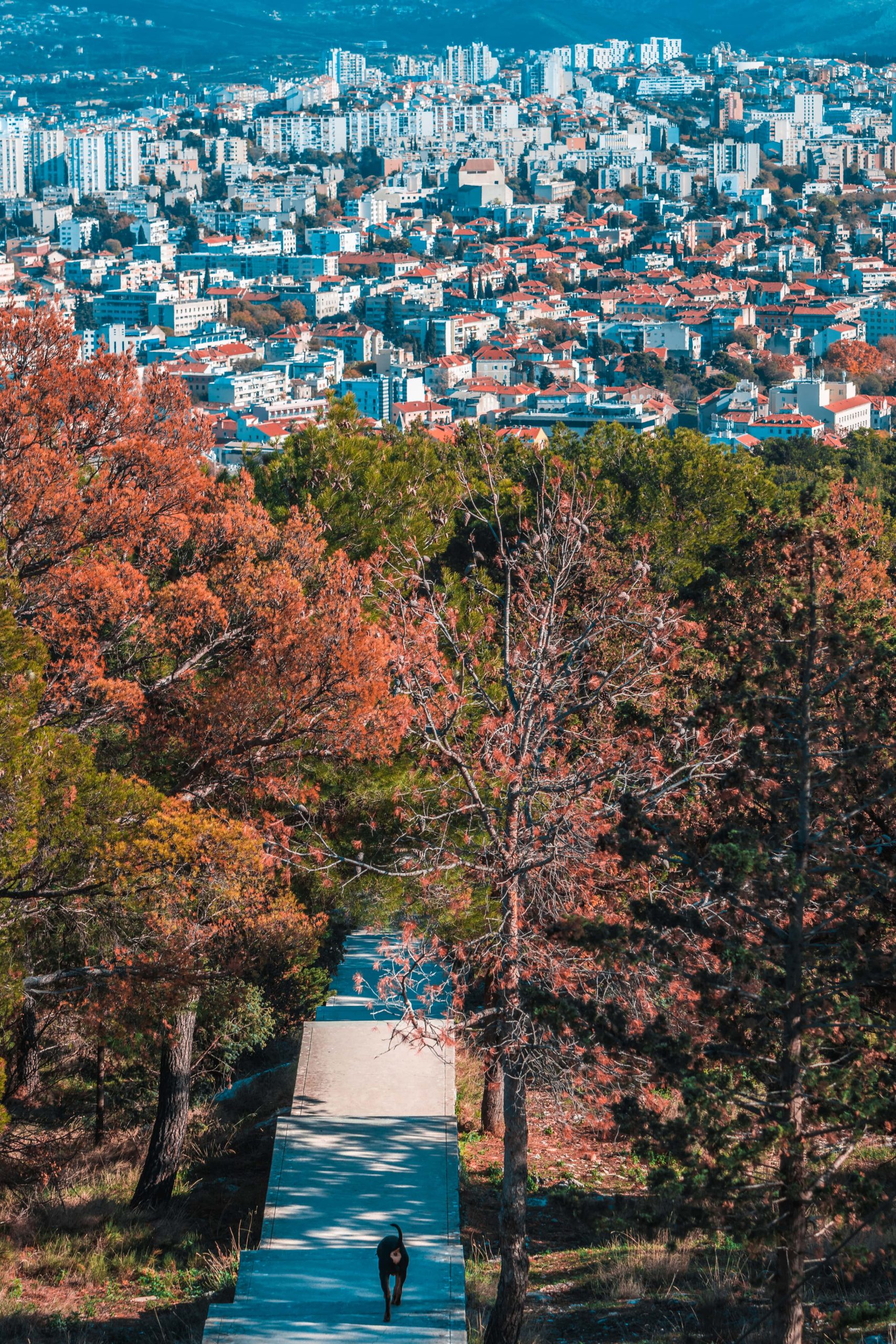 Home - Marjan
